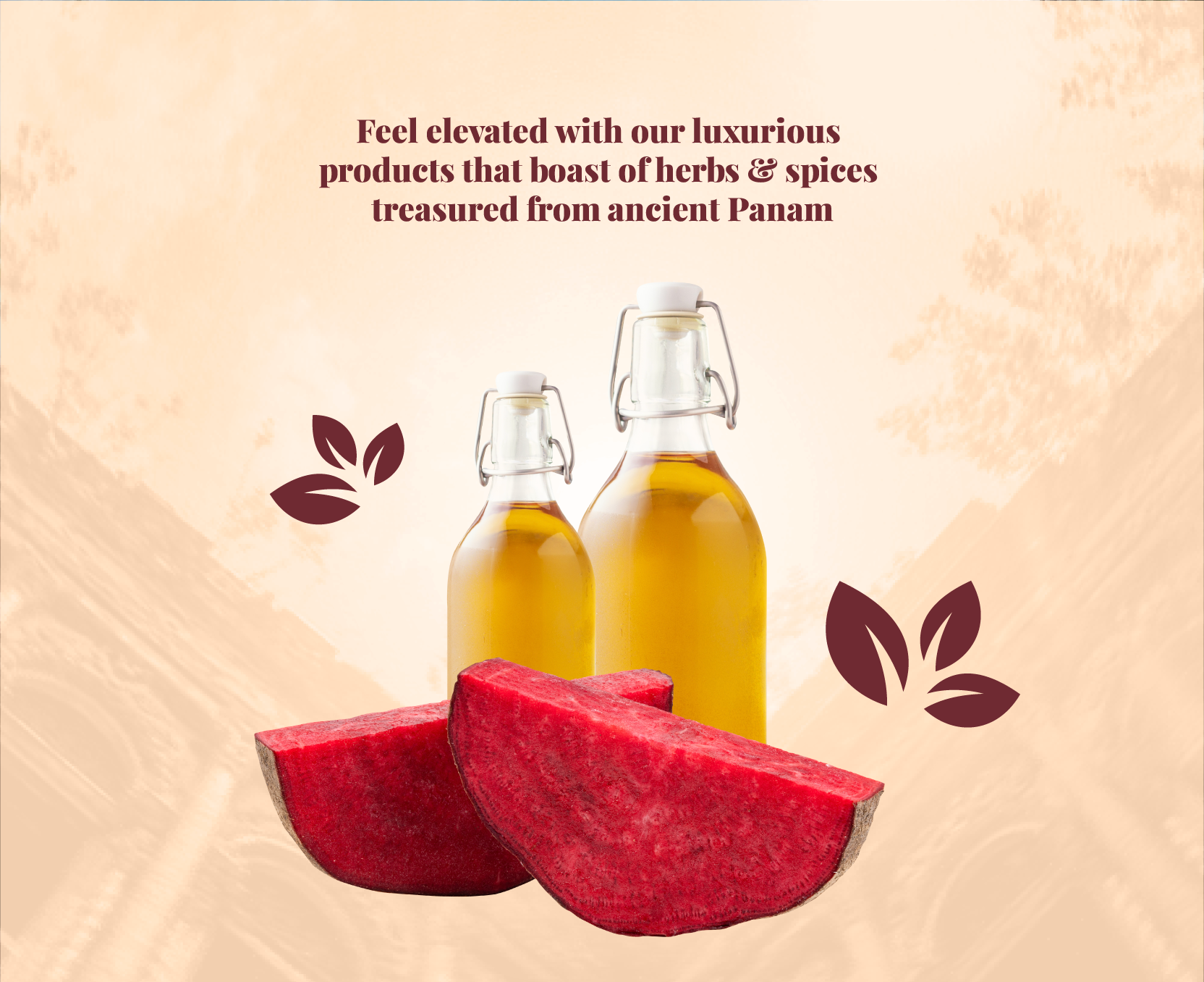 Panam Care – A Cult Classic